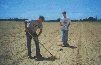 Department of Agriculture | Agricultural Education | Supervised ...