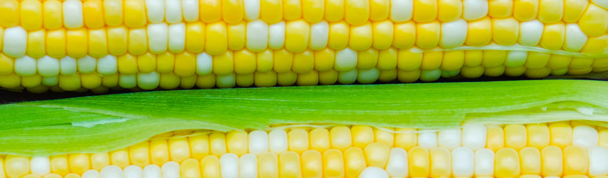 Department of Agriculture