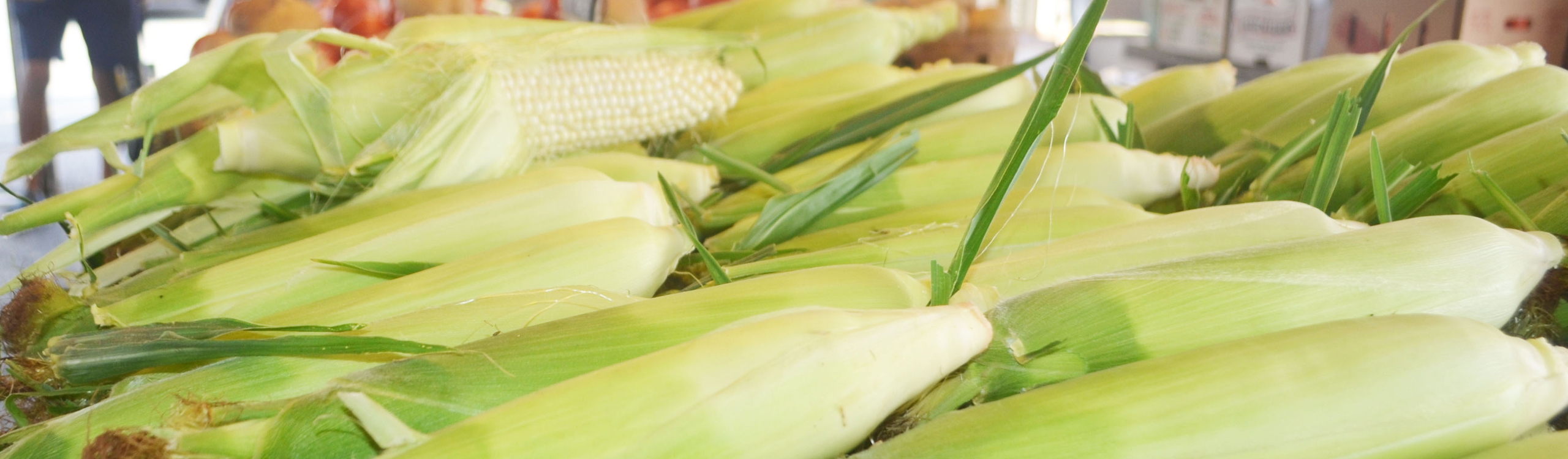 Department of Agriculture