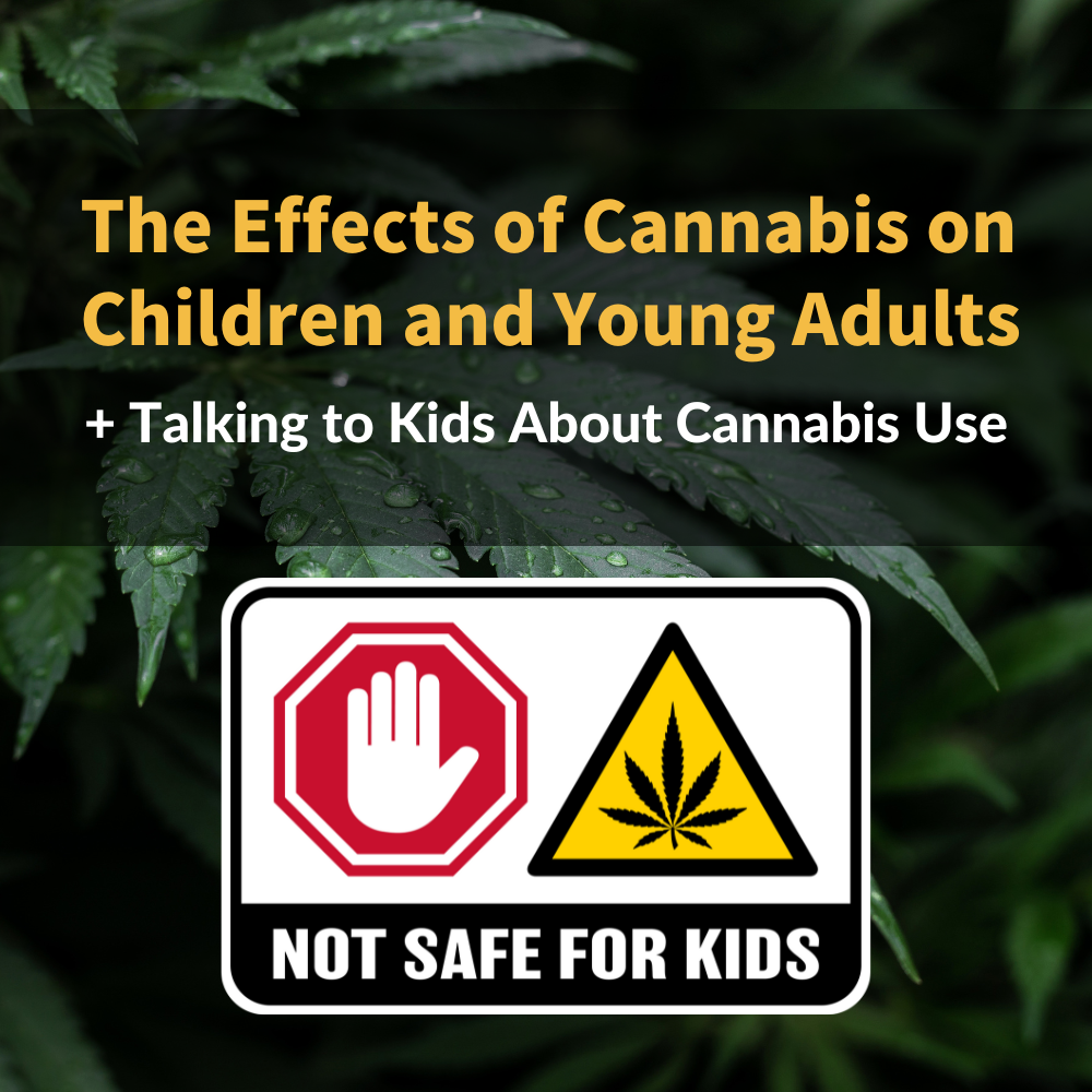 Cannabis Consumption Areas are Coming – Here’s What You Need to Know ...