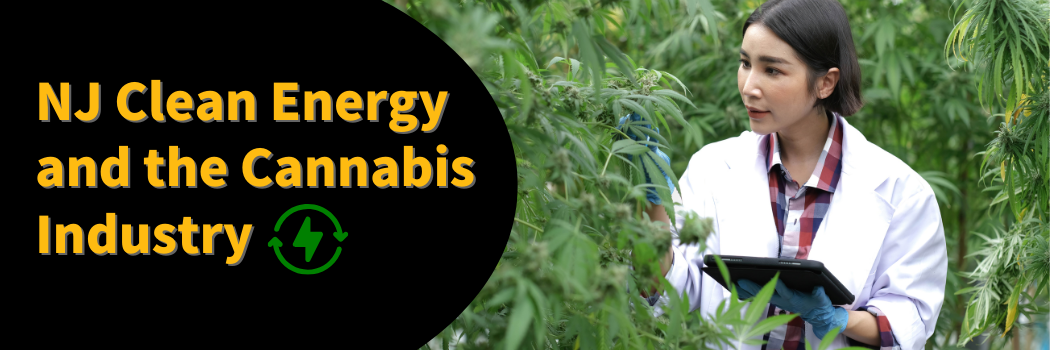 NJ Clean Energy and the Cannabis Industry