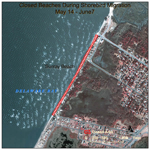 NJDEP Division of Fish & Wildlife - 2005 Delaware Bay Beach Closure ...