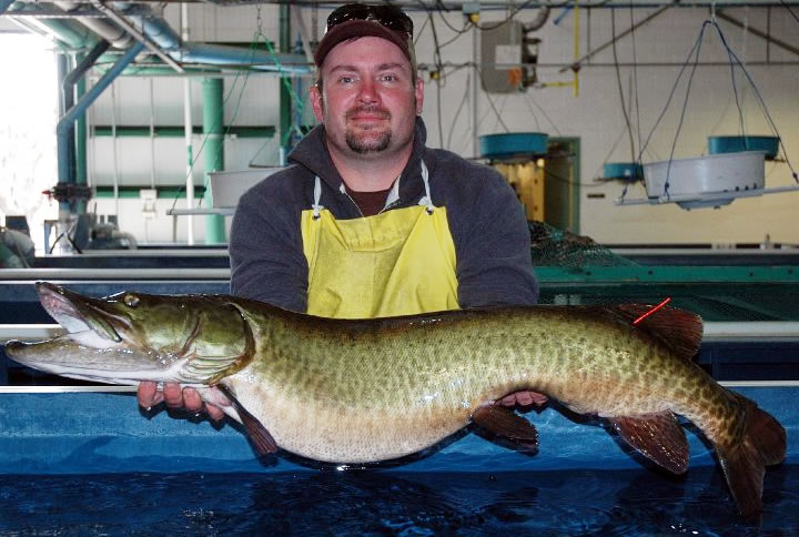 NJDEP Division of Fish & Wildlife - Hackettstown State Fish Hatchery ...