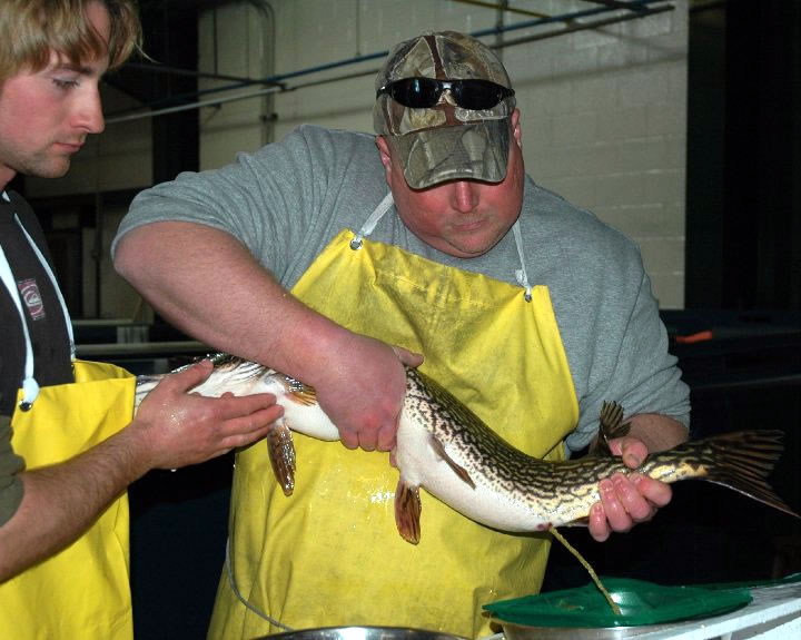 NJDEP Division of Fish & Wildlife - Hackettstown State Fish Hatchery ...