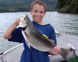 NJDEP Division of Fish & Wildlife - Fish Raised at the Hackettstown ...