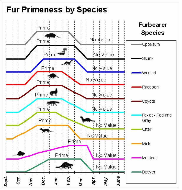 Nafa Wild Fur Sizing Chart