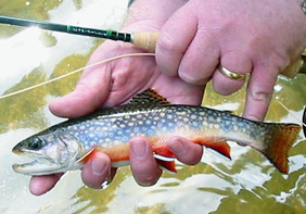 NJDEP New Jersey Department of Environmental Protection