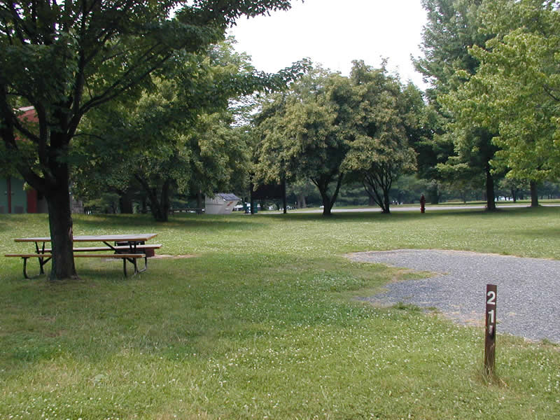 NJDEP-Parks and Forests