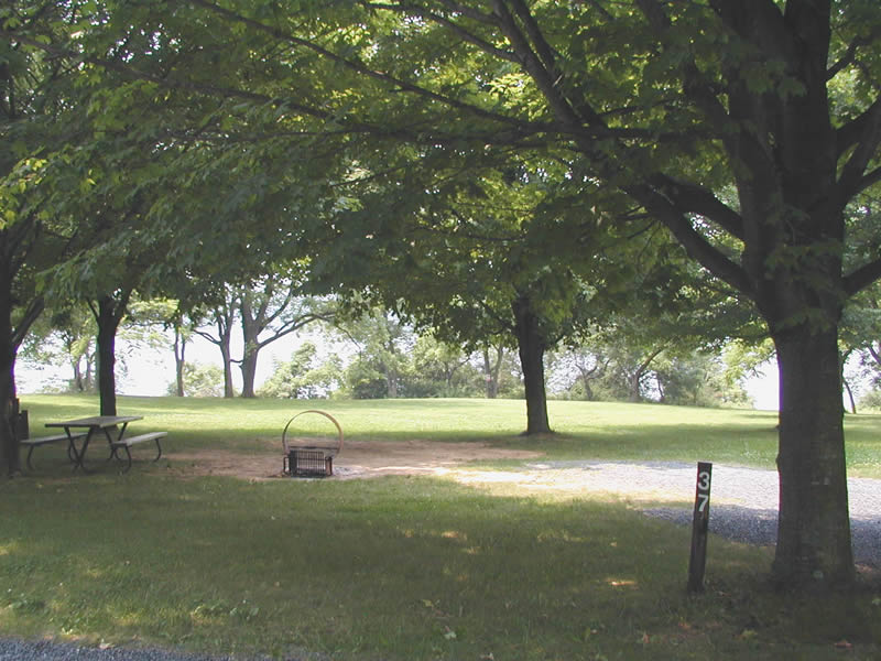 NJDEP-Parks and Forests