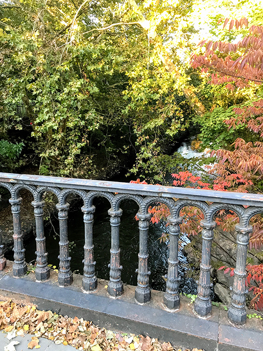 Delaware River Basin Commission|2018 Fall Photo Contest