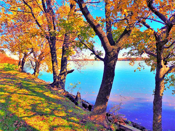 Delaware River Basin Commission|2018 Fall Photo Contest