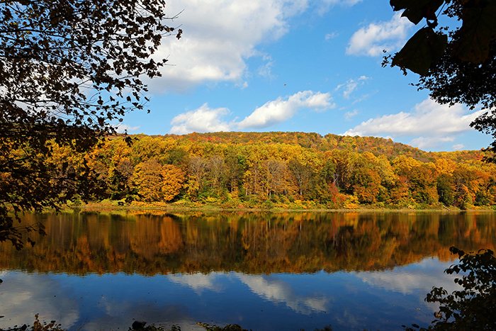 Delaware River Basin Commission|2018 Fall Photo Contest