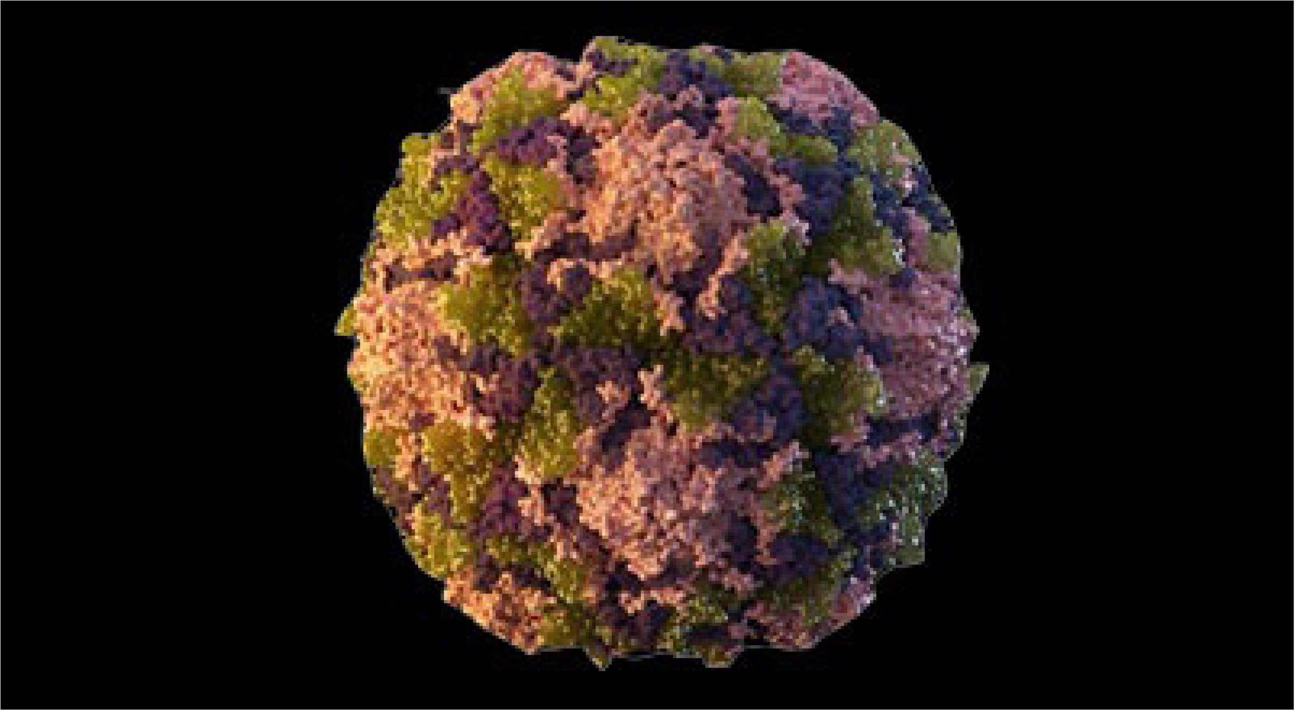 Department of Health for the State of New Jersey | Homepage