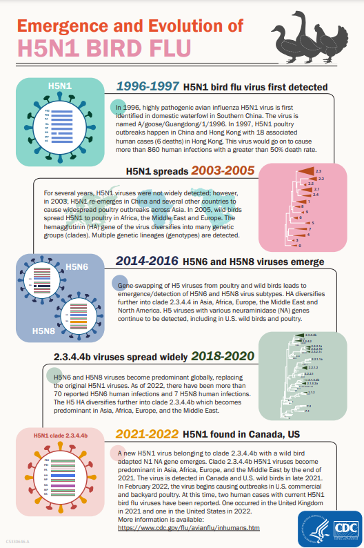 Department of Health | Communicable Disease Service | Novel Influenza