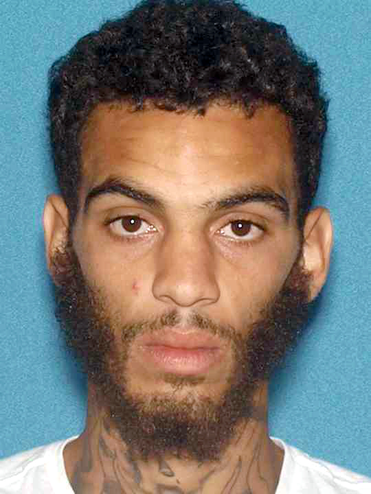 Raymond Ricciardi's Instagram, Twitter & Facebook on IDCrawl